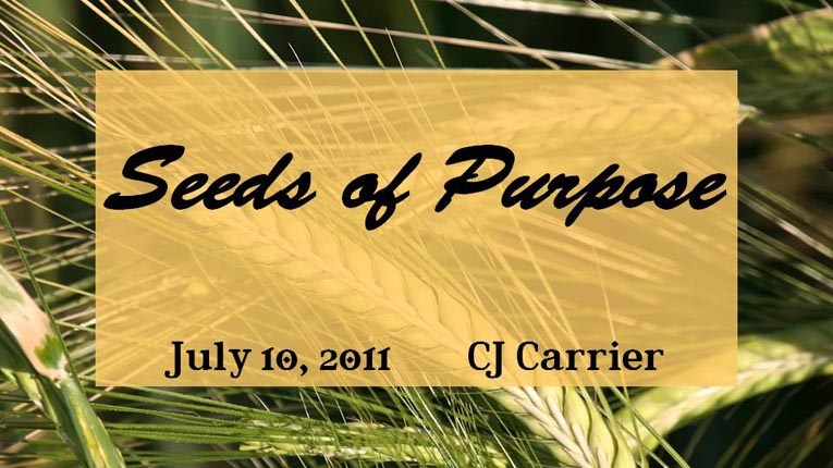 Seeds of Purpose - Living Faith Fellowship
